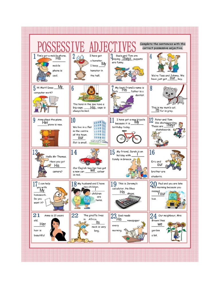 Possessive Adjectives Exercises | PDF