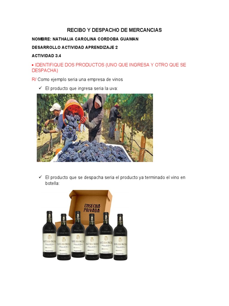 Actividad 2 RyD | PDF | Leche | Logística