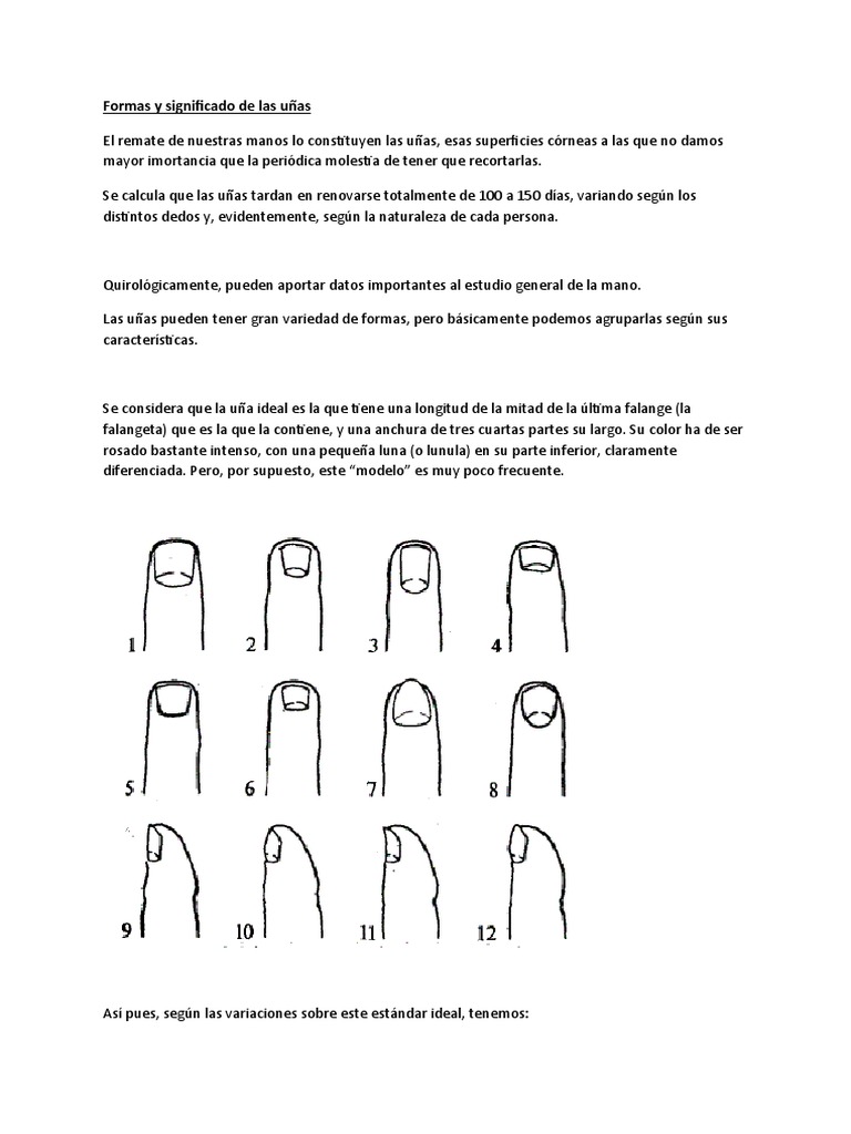Formas y Significado de Las Uñas | Descargar gratis PDF | Clavo ...