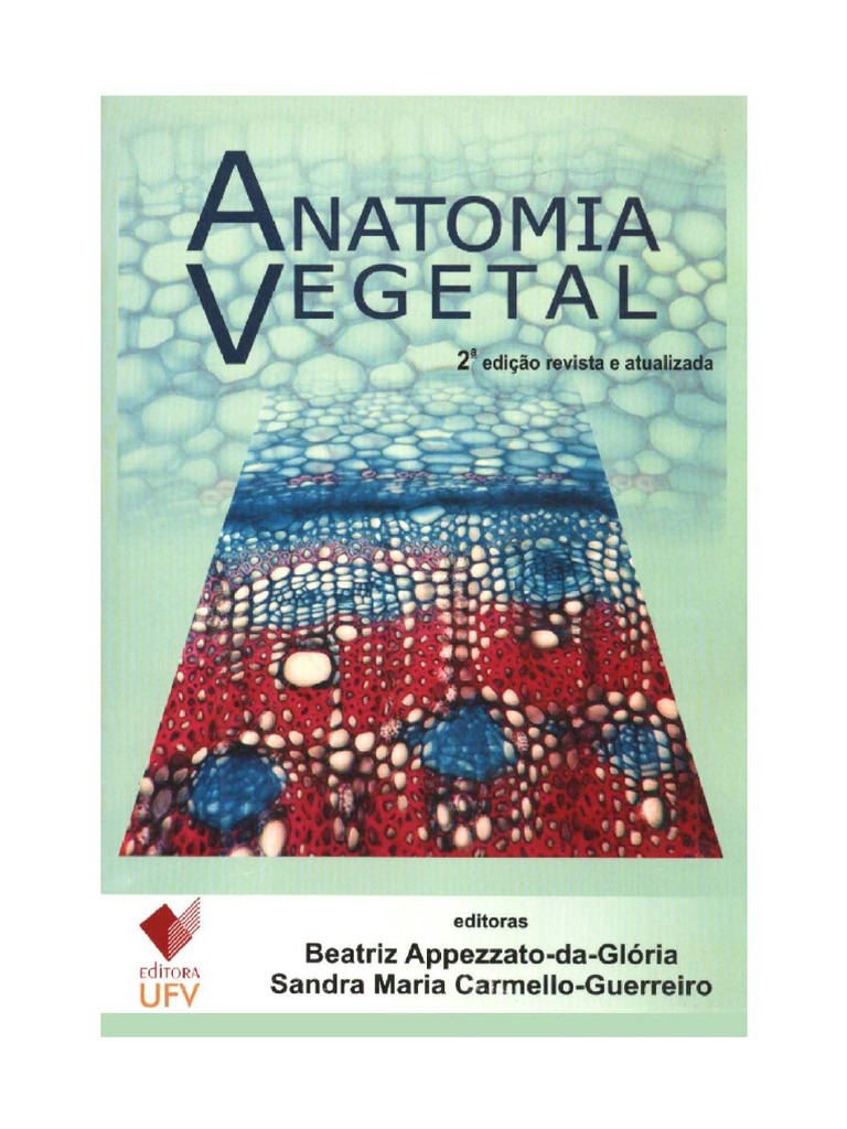 Anatomia Vegetal Apezzato Da Gloria | PDF