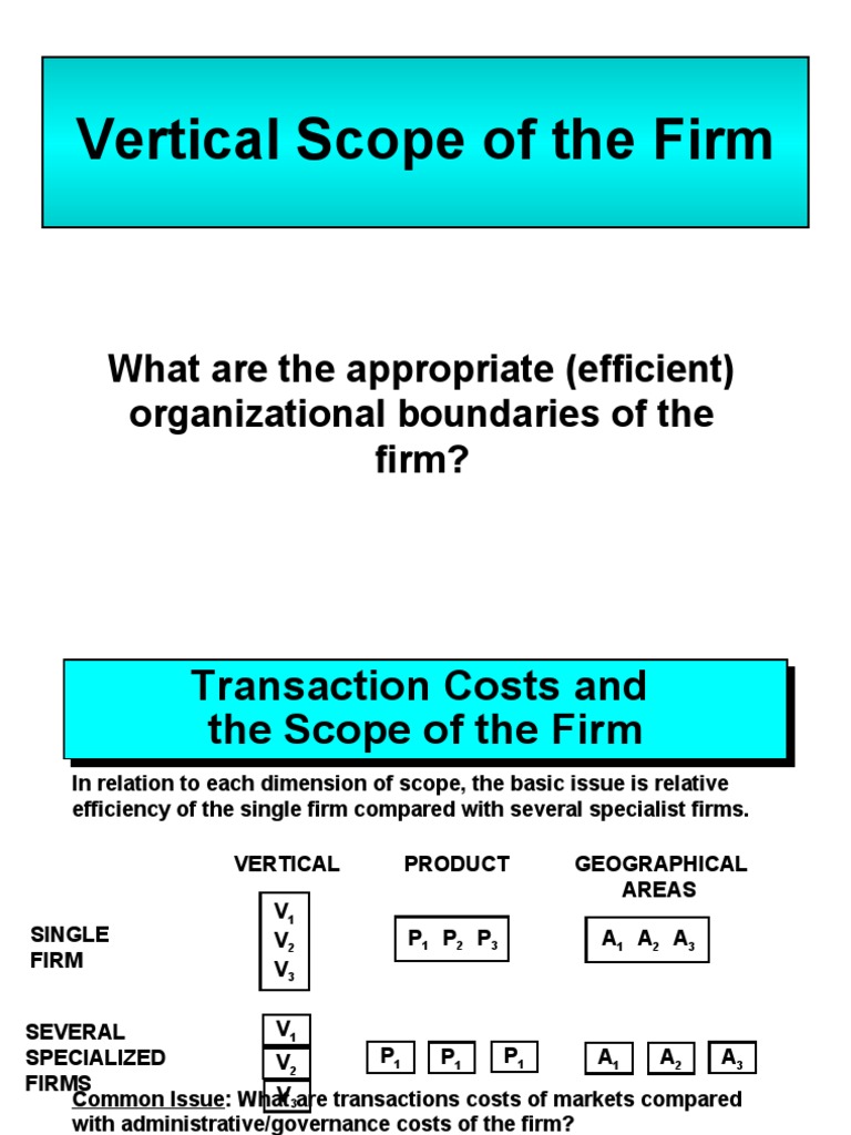 Vertical Scope | PDF | Incentive | Strategic Management