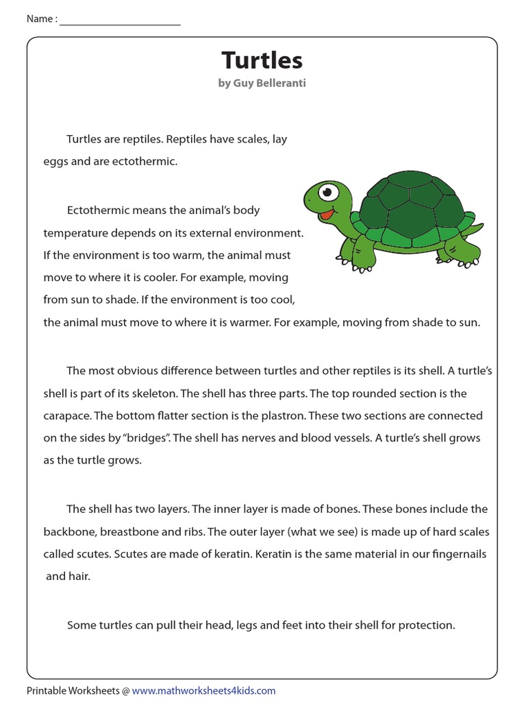 Turtles: by Guy Belleranti | PDF | Turtle | Reptile