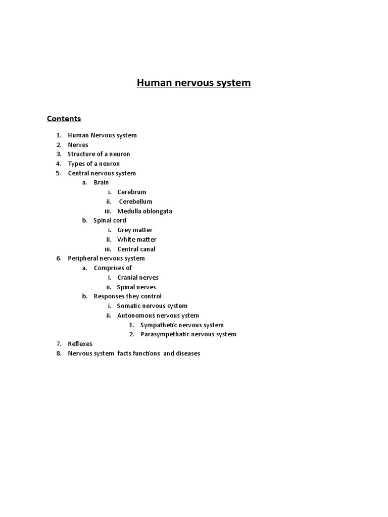 Overview of the Human Nervous System | PDF | Wellness