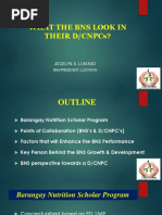 Mellpi Pro Form 5D: Barangay Nutrition Scholar Monitoring | PDF ...