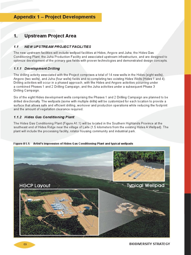 Appendix 1 - Project Developments: HGCP Layout Typical Wellpad | PDF ...
