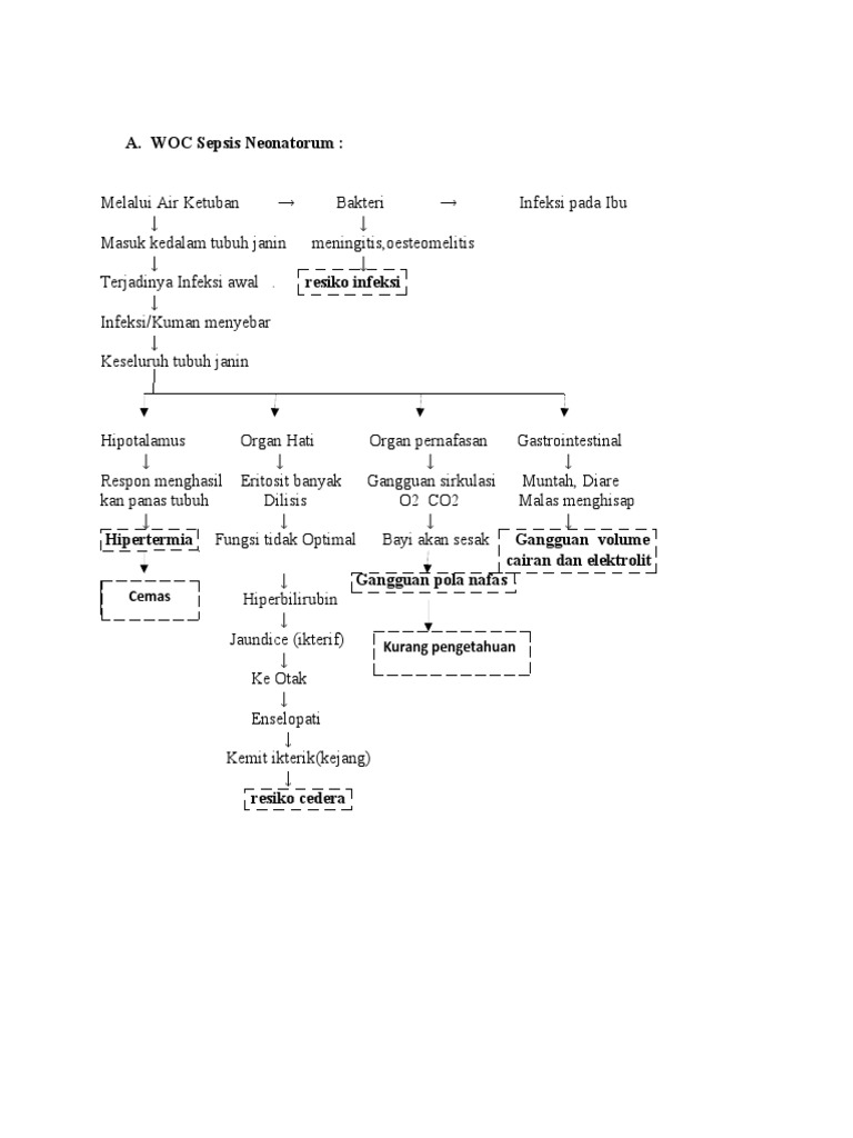 WOC Sepsis Neonatorum | PDF
