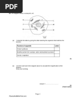 Year 8 Science Exam Practice Questions 2016 | PDF | Chemical Substances ...