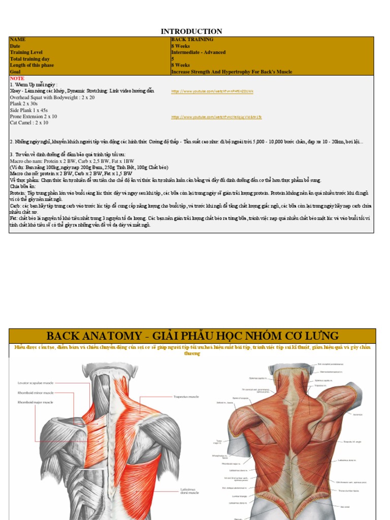 Back Training | PDF