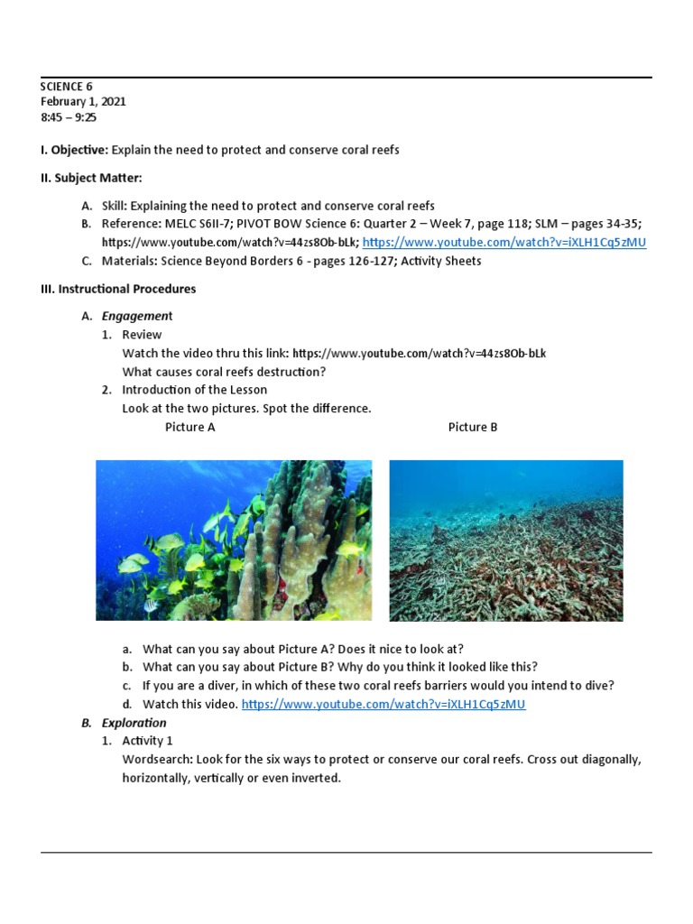 TEACHER - MADE LESSON PLAN IN Science 6 | PDF | Coral Reef | Physical ...