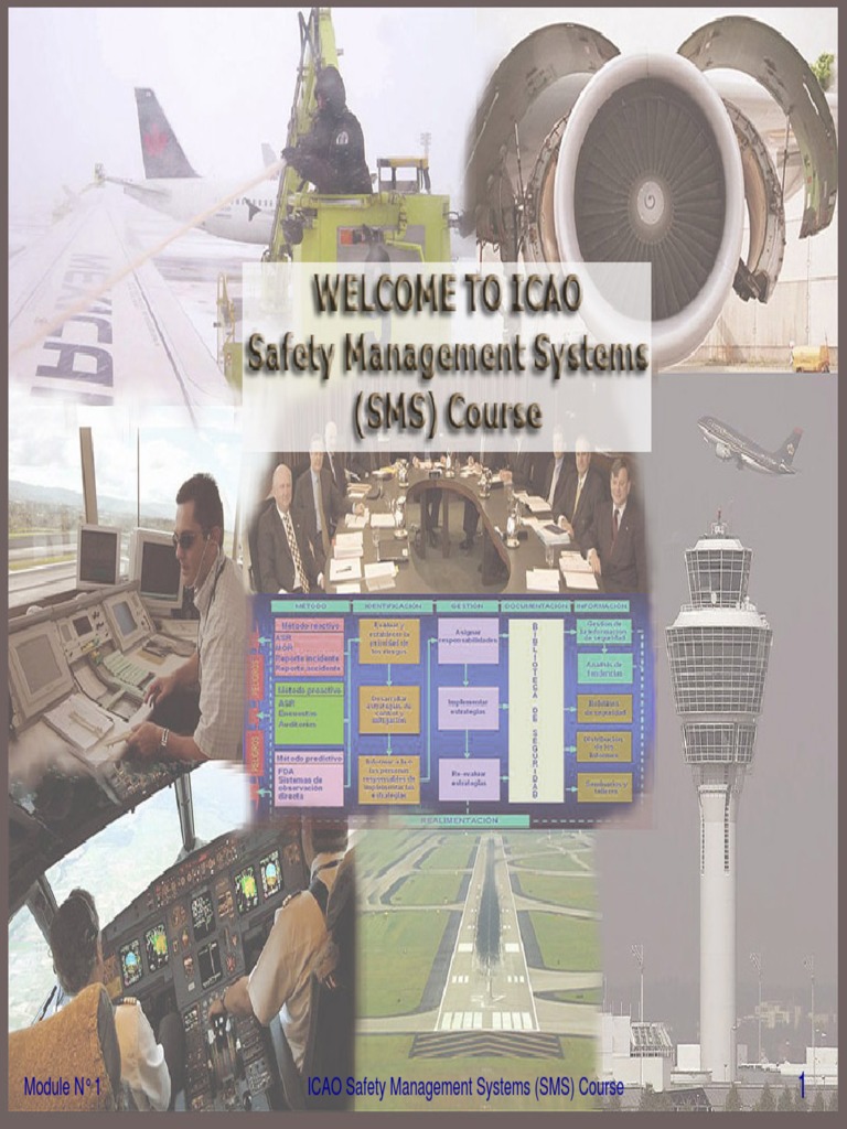 Module N 1 ICAO Safety Management System | PDF | Course Evaluation ...
