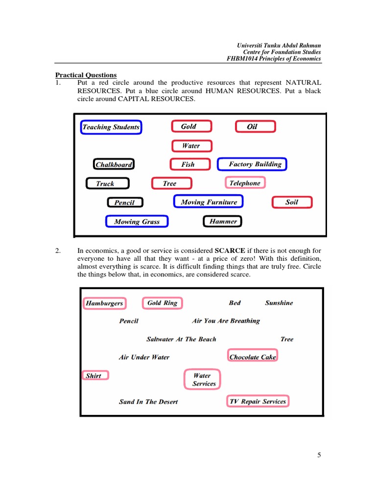 Economics Resource Identification Guide | PDF