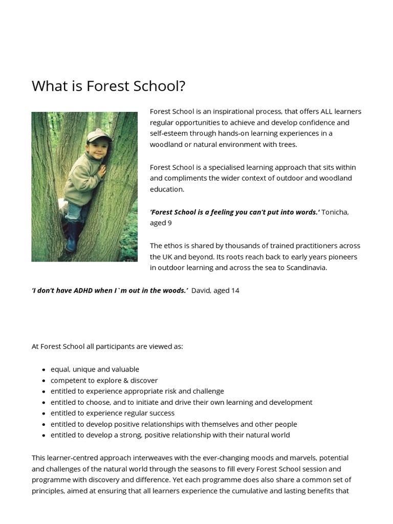 What Is Forest School - Forest School Association | PDF | Cognition ...
