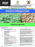 Overview of Palay Check | PDF | Rice | Agriculture