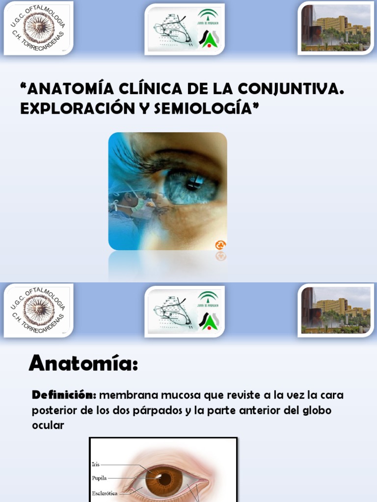 027 Anatomía Clínica de La Conjuntiva - Exploración y Semiología - LOM ...