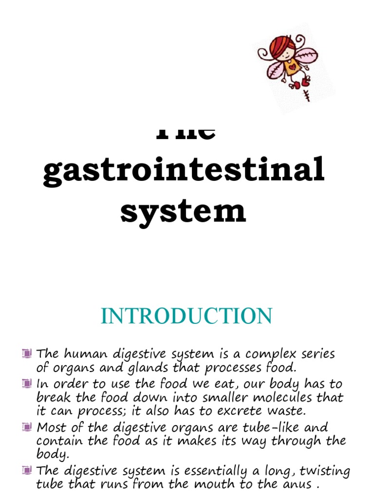 The Gastrointestinal System | PDF | Gastrointestinal Tract | Human ...
