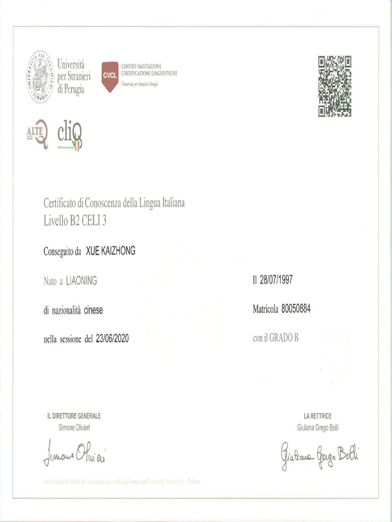 Il Certificato Di Lingua | PDF