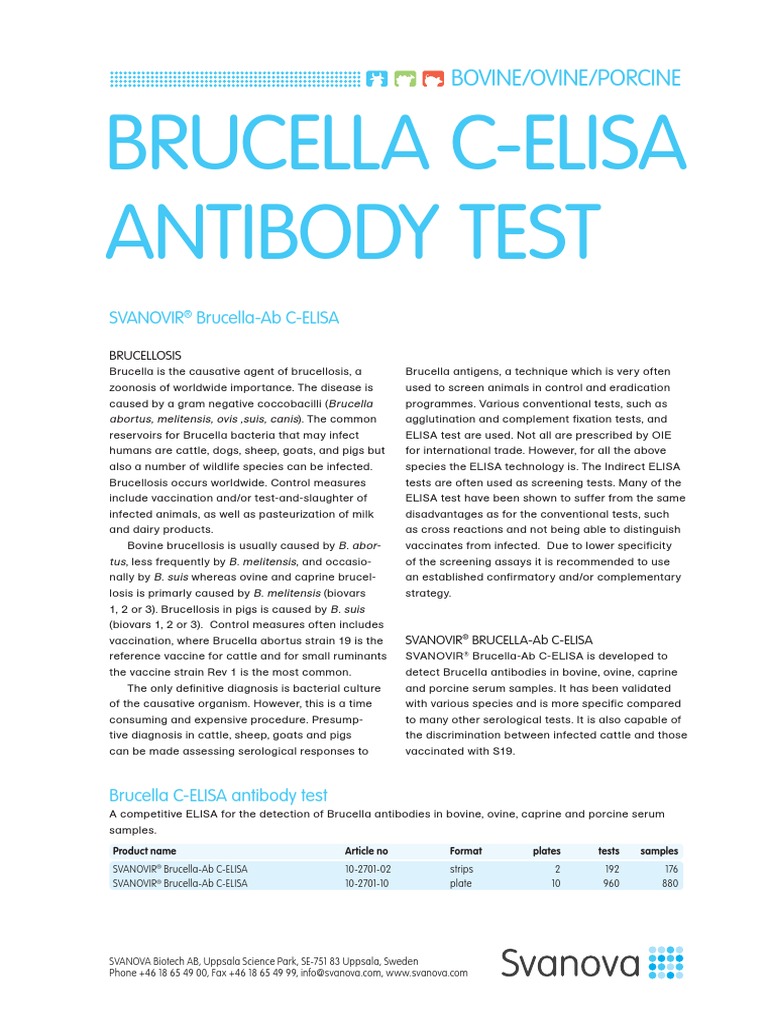 Product Info Brucella Ab C | PDF | Elisa | Serology