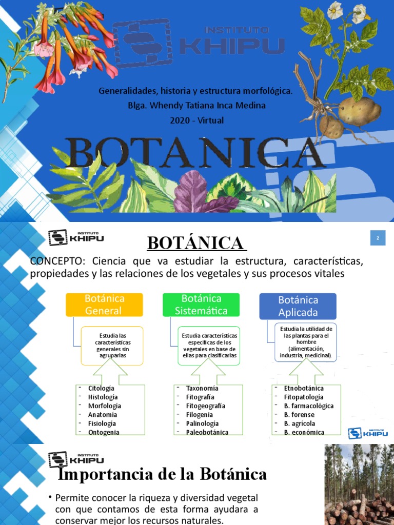 Generalidades de Botanica | PDF | Botánica | Plantas