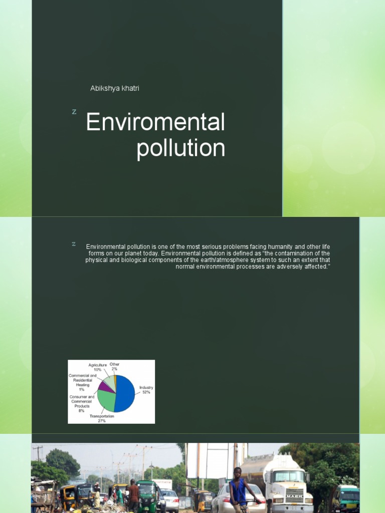 Understanding Environmental Pollution | PDF