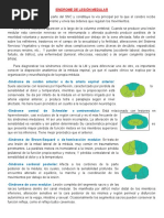 Tacto Protopático y Epicrítico en Kinesiología | PDF | Piel | Neurobiología