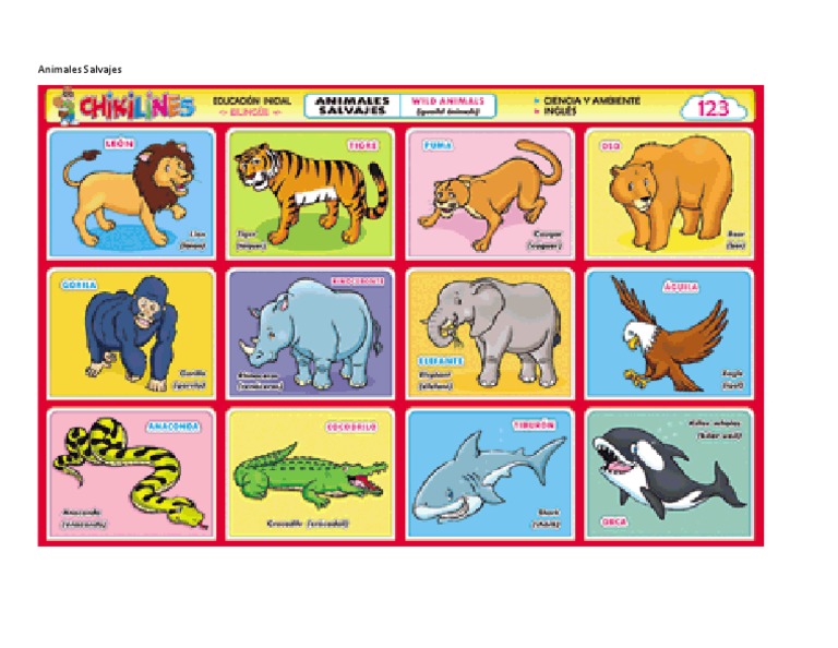 Animales Salvajes Lamina | PDF