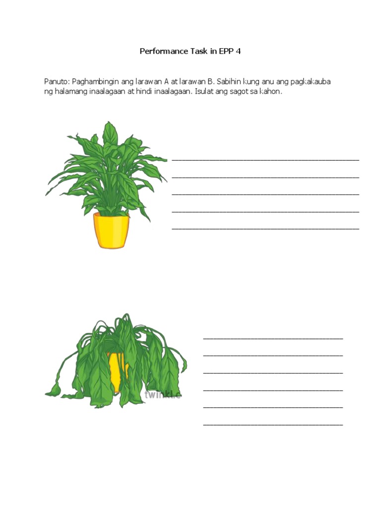 Epp 4 Performance Task | PDF