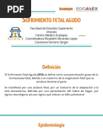 Fases Neurológicas de la Hipoglucemia | PDF
