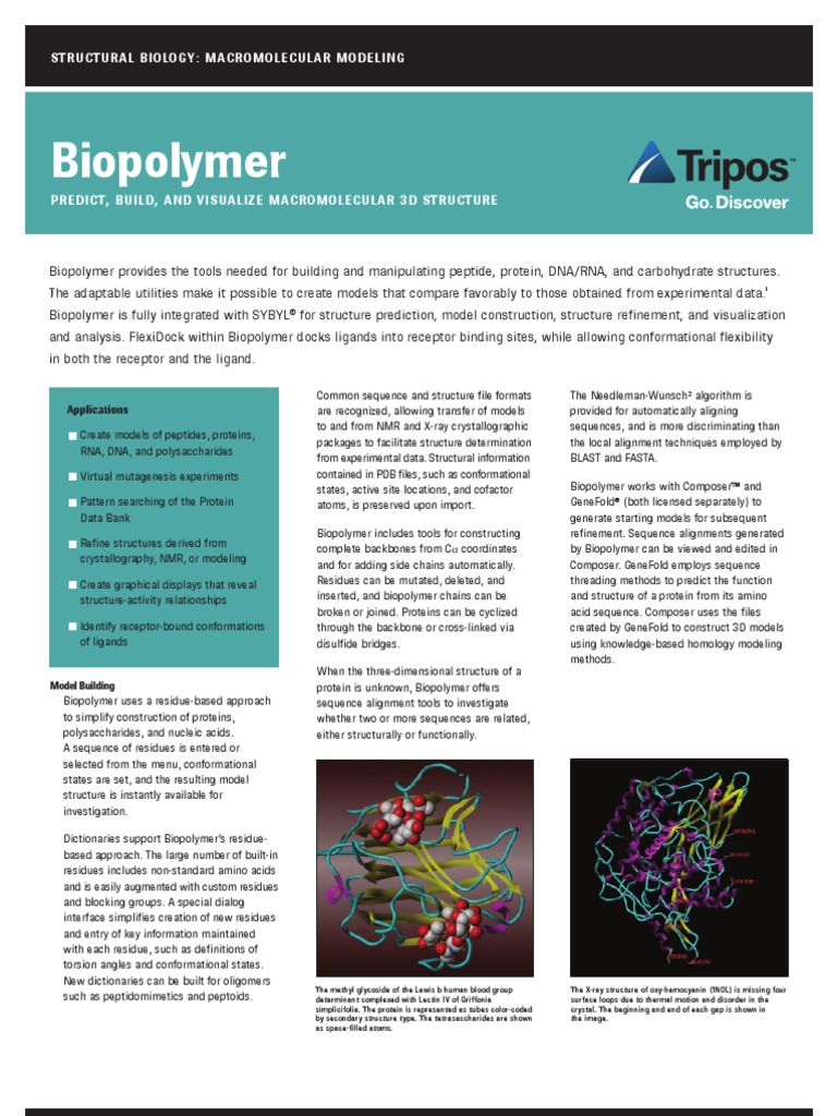 Biopolymer: Structural Biology: Macromolecular Modeling | PDF ...