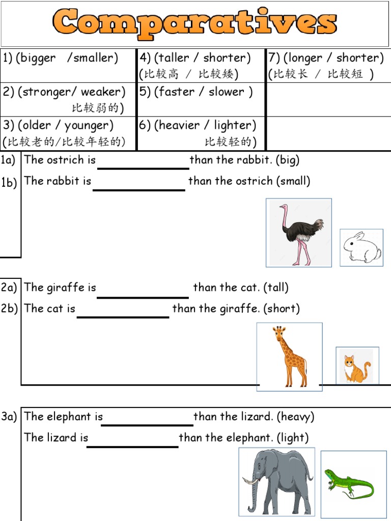 Comparatives Worksheet | PDF | Science & Mathematics | History