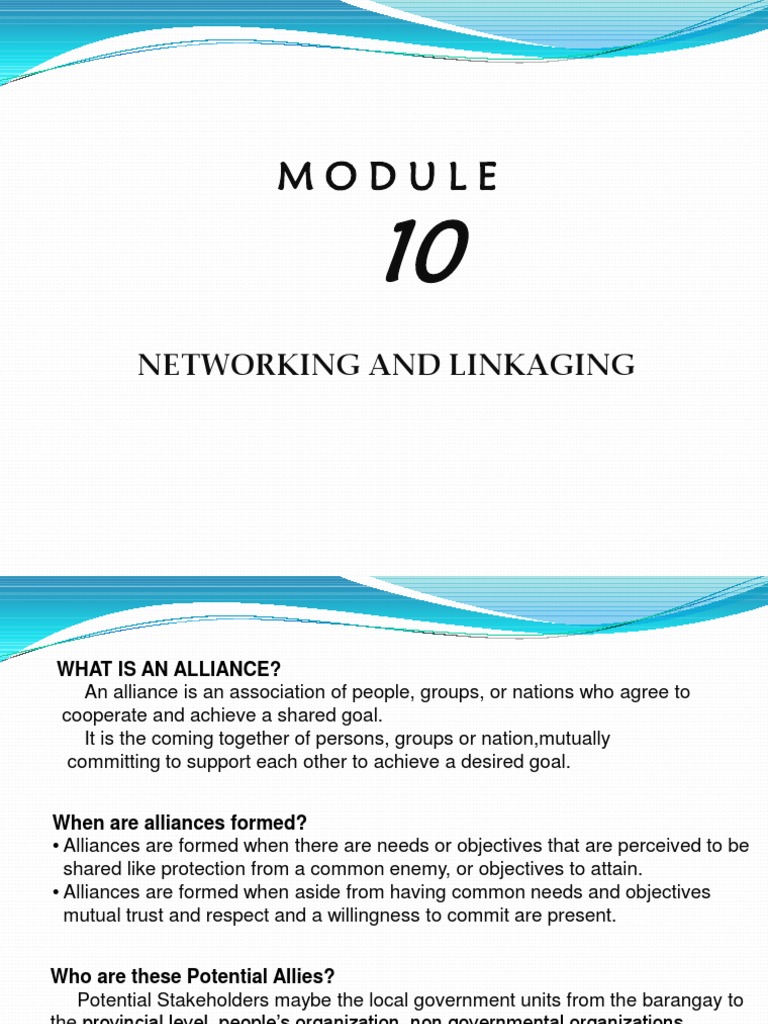 Networking and Linkaging: Building Effective Alliances | PDF | Goal ...