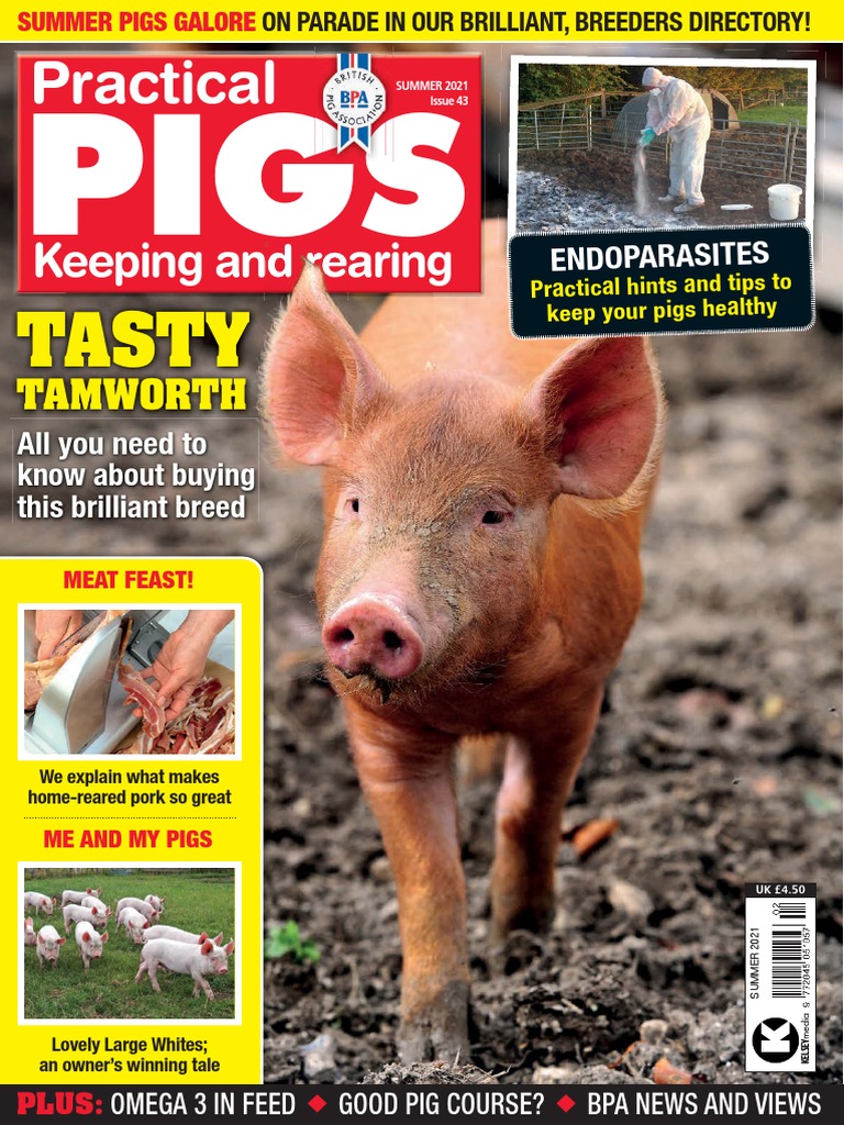 Practical Pigs - Issue 43 - Summer 2021 | PDF | Domestic Pig | Animals ...
