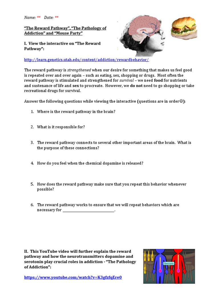 U4 L3 TheRewardPathPathologyofAddictionMouseParty Student Worksheet ...