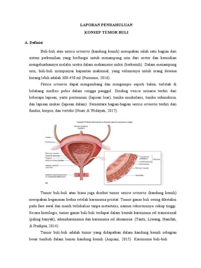 Tumor Buli | PDF
