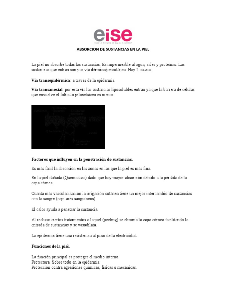4 Absorcion Cutenea | PDF | Piel | Epidermis