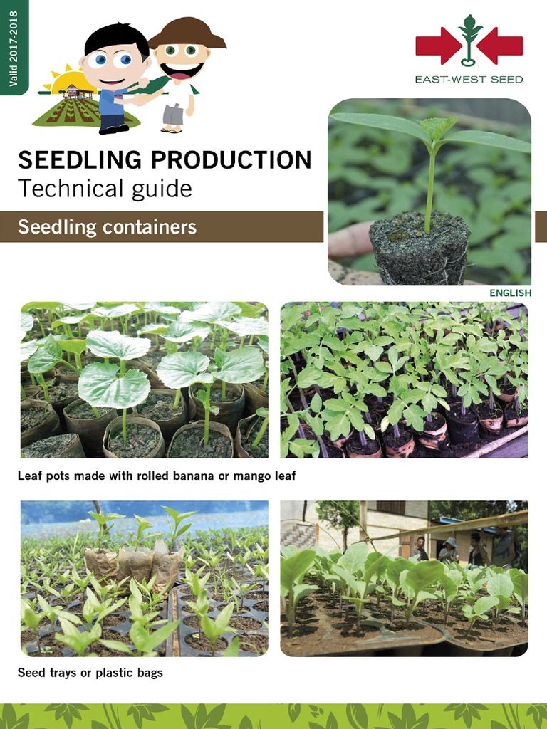 Seedling Production | PDF