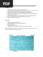 Laboratory Practice Observation of Onion and Tomato Cells Grade Six ...