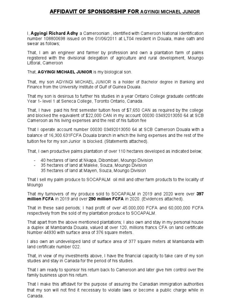 Affidavit of Sponsorship For: Agyingi Michael Junior | PDF | Cameroon ...