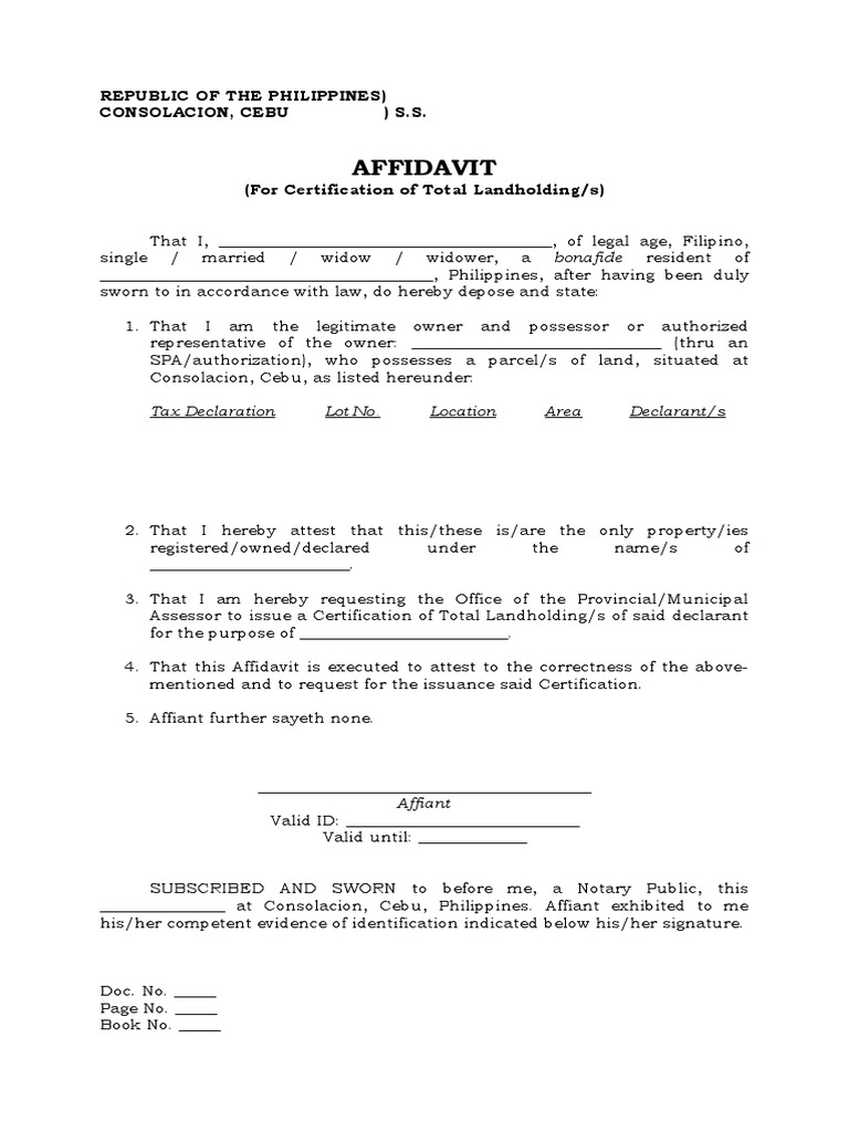 Affidavit: Republic of The Philippines) Consolacion, Cebu) S.S | PDF