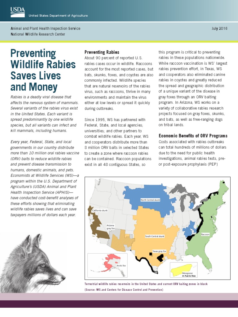 Preventing Wildlife Rabies Saves Lives and Money | PDF | Rabies ...