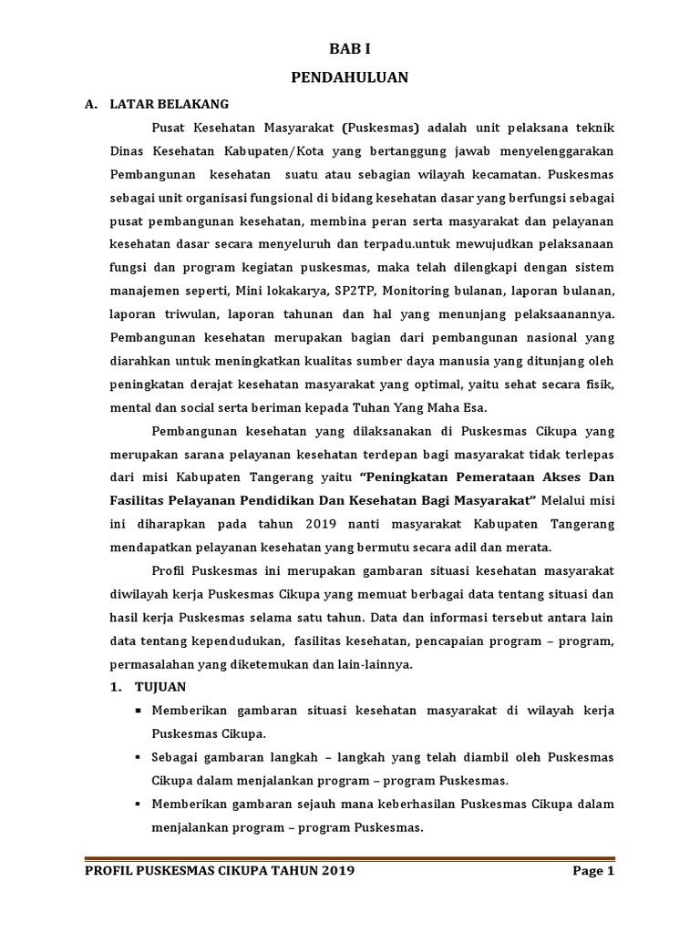 Narasi Profil 2019 | PDF