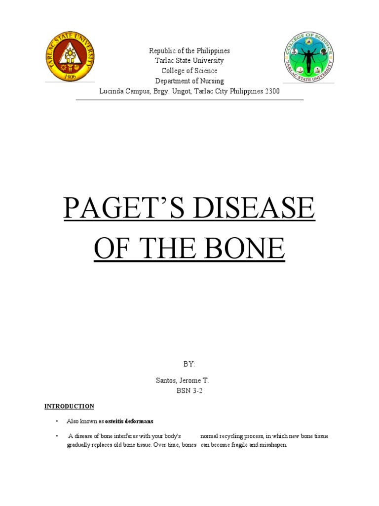 Understanding Paget's Disease Pathophysiology | PDF | Bone | Medicine