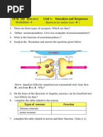 Reflex Arc Worksheet | PDF