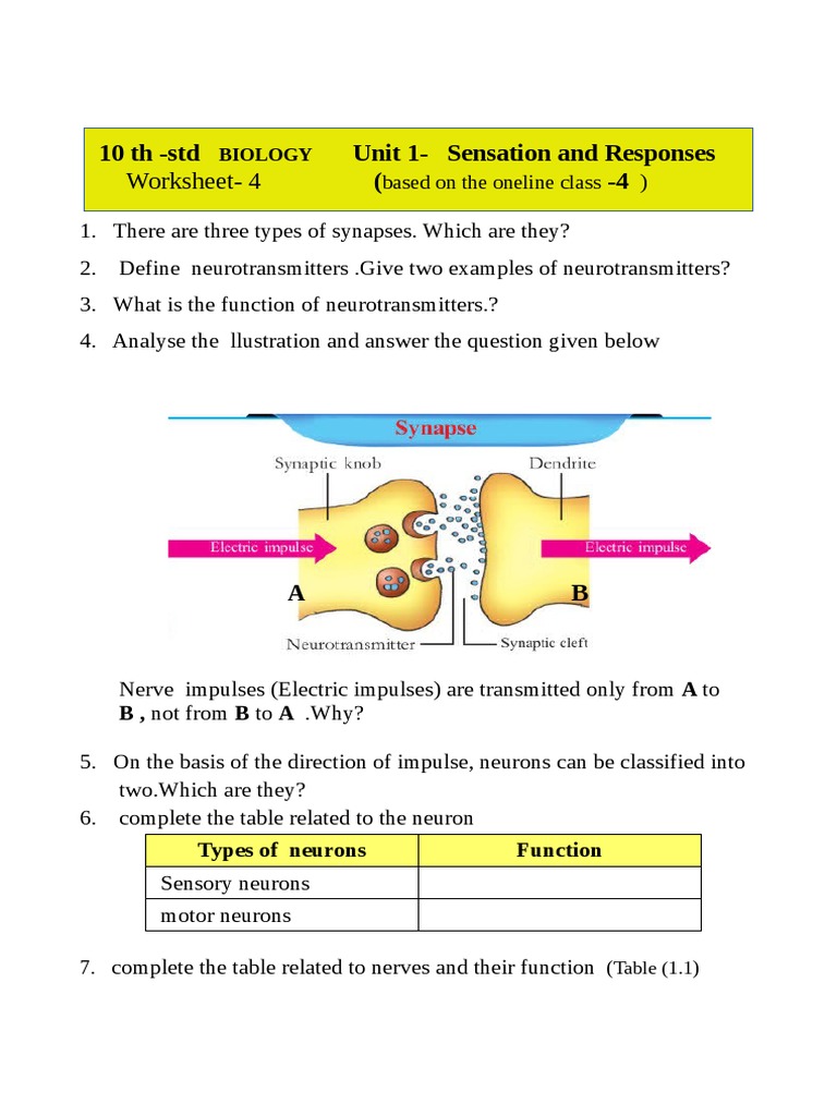10th Biology Worksheet 4 - E M | PDF