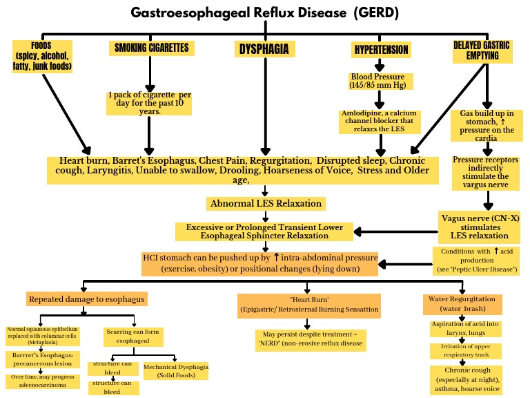 Pathophysiology of Gastroesophageal Reflux (Gerd) | PDF | Esophagus ...