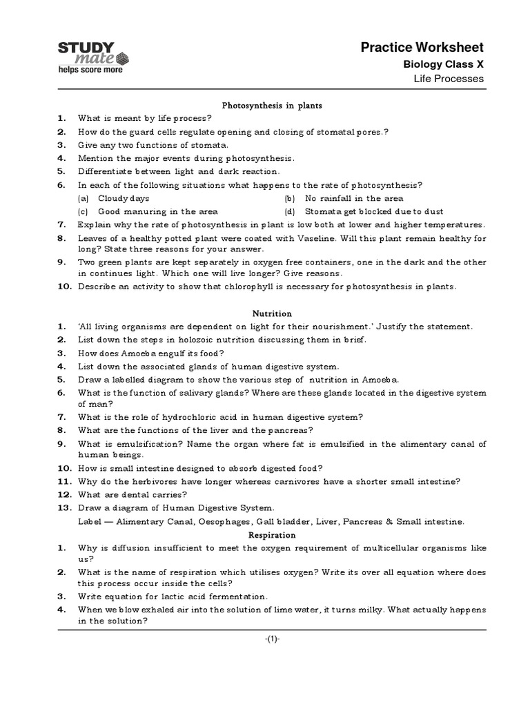 Worksheet-Life Process | PDF | Circulatory System | Respiratory System