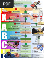 Protocolo XABCDE | PDF