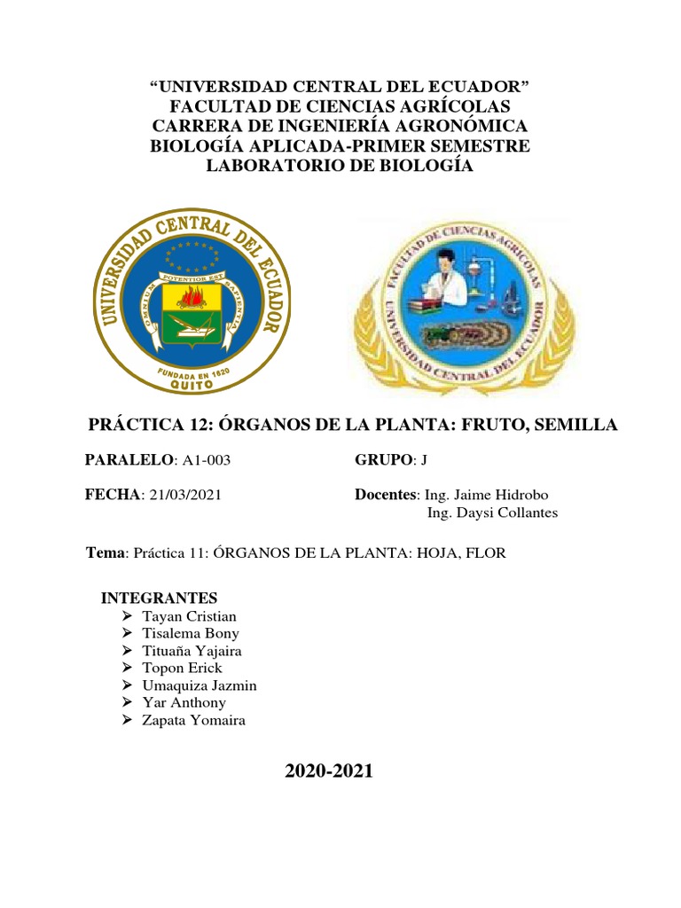 Práctica 12 Órganos de La Planta Fruto-Semilla | PDF | Fruta | Semilla