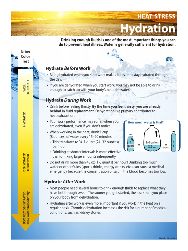 Heat Stress Hydration | Download Free PDF | Drinking | Dehydration