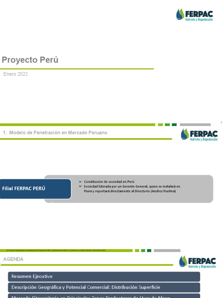 Proyecto FERPAC PERÚ PDF | PDF | Perú | Chile