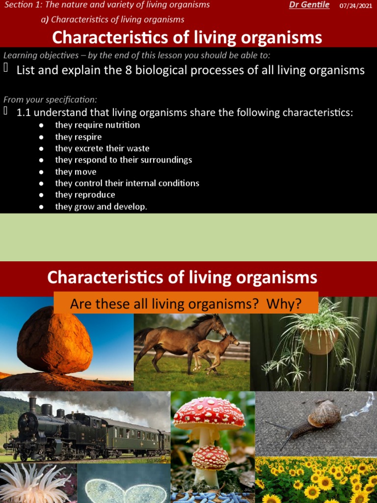8 Biological Processes Define LifeTITLE Nutrition, Respiration & More ...
